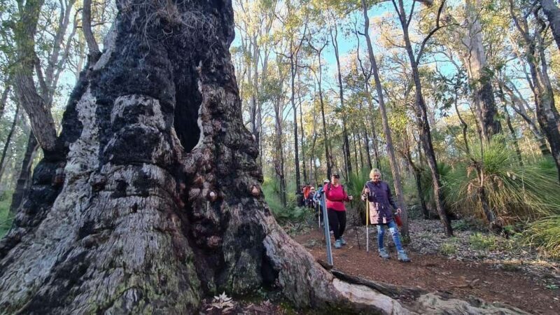 Perth: Kitty's Gorge Waterfall Hike - Pricing and Perceived Value
