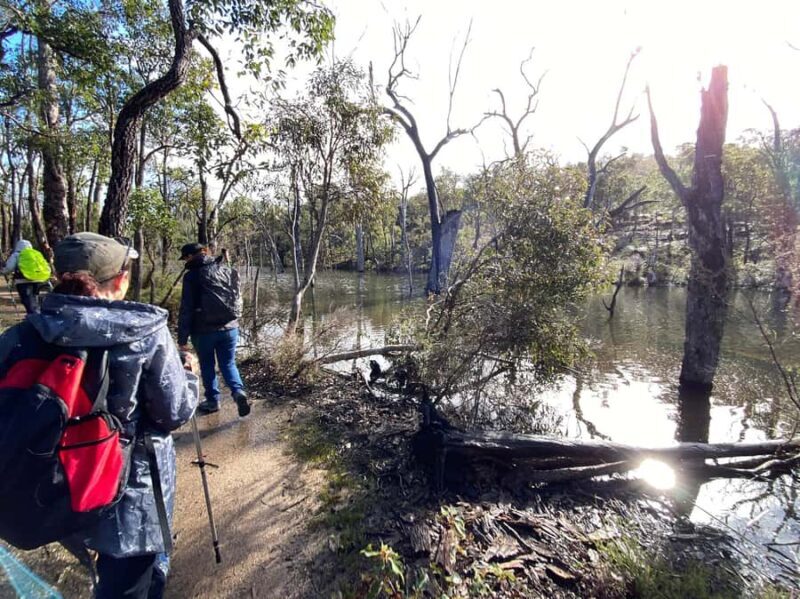 Perth: Numbat Trail Hike at Paruna Wildlife Sanctuary - Introducing the Experience: Why Consider the Numbat Trail Hike?