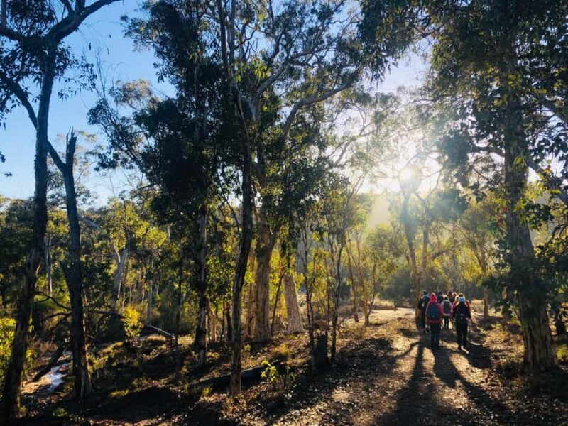 Perth: Numbat Trail Hike at Paruna Wildlife Sanctuary - Who Will Love This Tour?