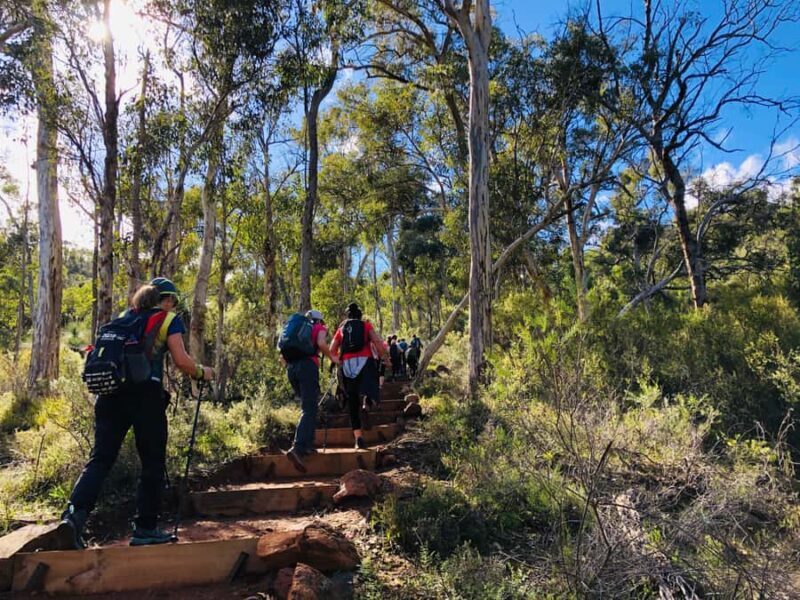 Perth: Numbat Trail Hike at Paruna Wildlife Sanctuary - The Sum Up: Why Choose the Numbat Trail Hike?