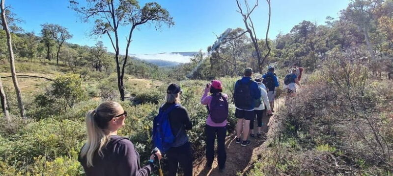 Perth: Perth Hills Hike, Wine & Dine - Detailed Breakdown of the Experience