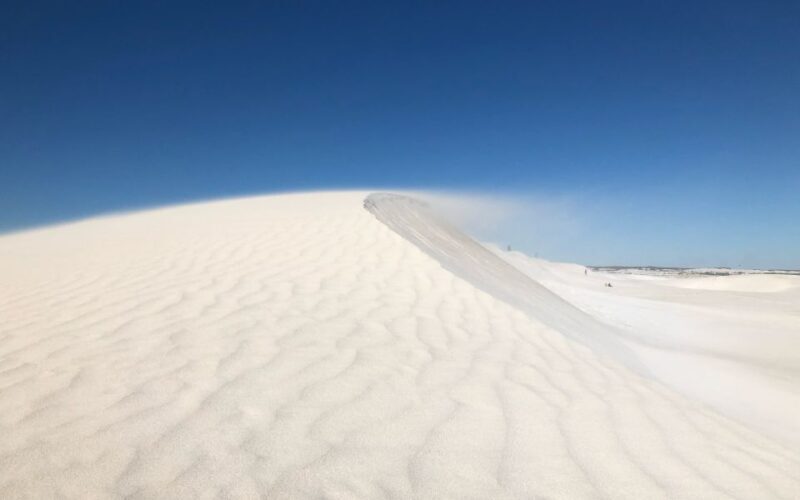 Perth: Pinnacles Desert Bush Walk Guided Tour with Lunch - Pricing and Value