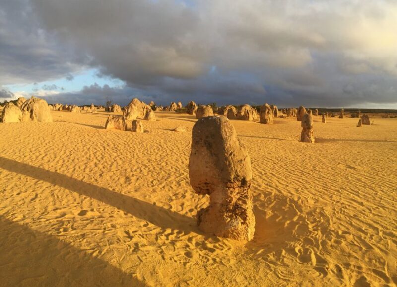 Perth: Pinnacles Desert Bush Walk Guided Tour with Lunch - Practical Tips for Travelers