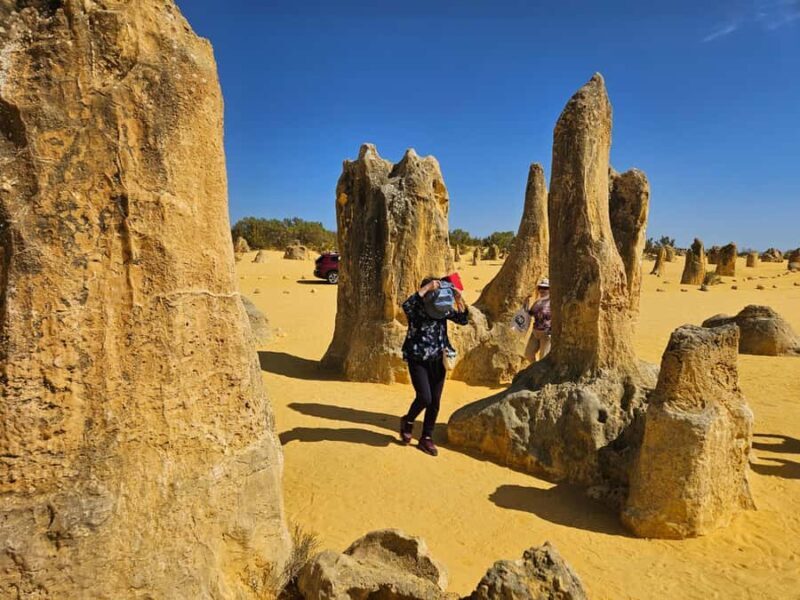 Perth: Pinnacles Desert & Sand Dunes Private Day Tour - Key Points