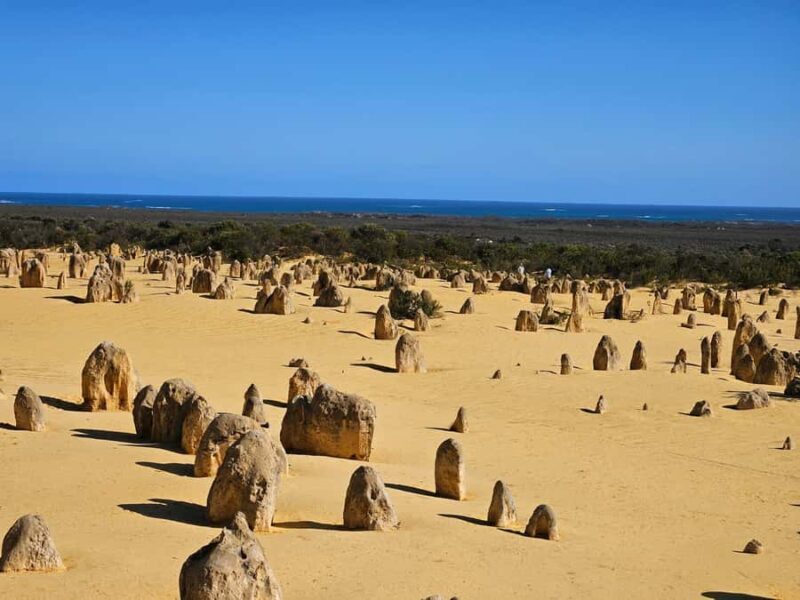 Perth: Pinnacles Desert & Sand Dunes Private Day Tour - A Complete Breakdown of the Tour Experience
