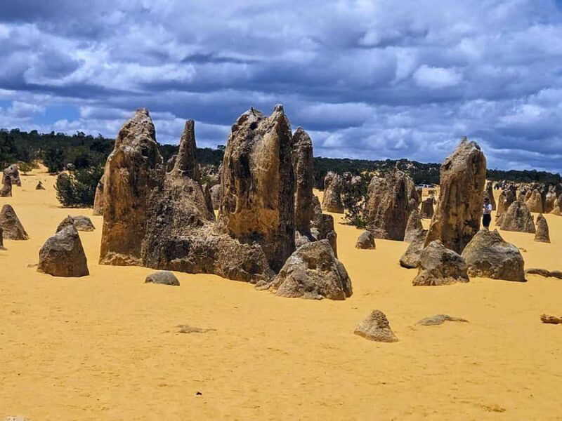 Perth: Pinnacles Desert & Sand Dunes Private Day Tour - Who Should Consider This Tour?
