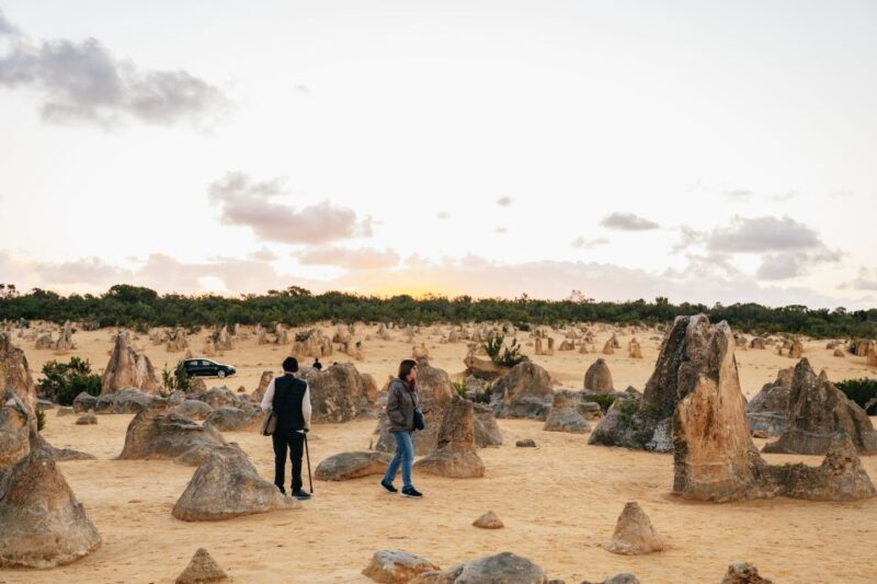 Perth: Pinnacles Desert Sunset and Stargazing with Dinner - Itinerary Breakdown