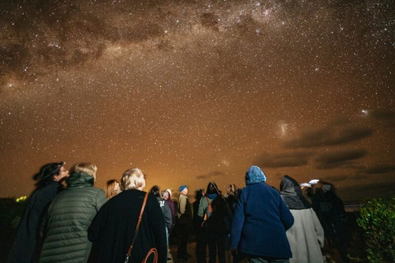Perth: Pinnacles Desert Sunset and Stargazing with Dinner - Final Thoughts