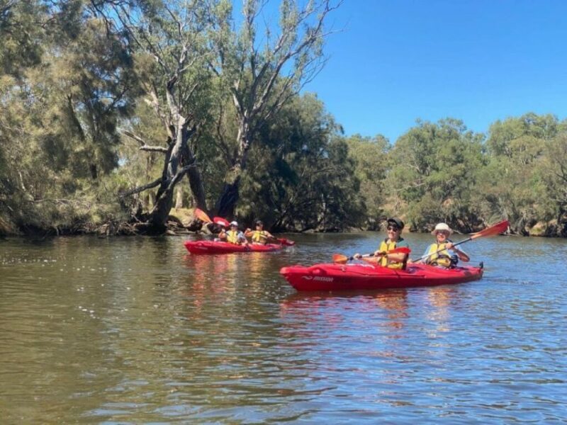 Perth: Swan River Kayaking Tour with Dining and Wine Tasting - Arriving at Mandoon Estate: Wine and Food in a Garden Paradise