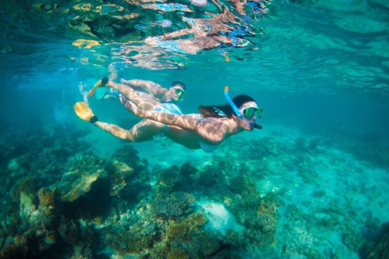 Perth to Exmouth 6-Day Coral Coaster One-Way Journey - An Introduction to the Tour Experience