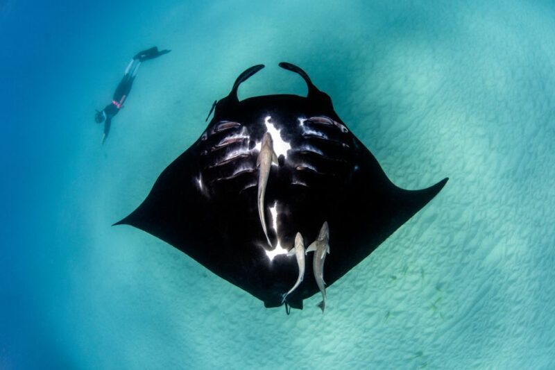 Perth to Exmouth 6-Day Coral Coaster One-Way Journey - What Makes This Tour Worth Considering?