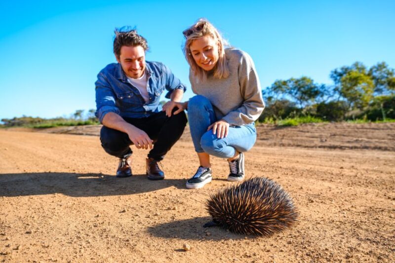 Perth to Exmouth 6-Day Coral Coaster One-Way Journey - Who Is This Tour Best For?