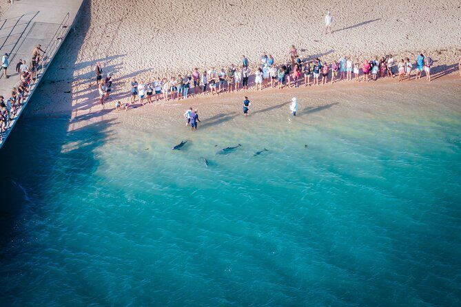 Perth to Exmouth & Ningaloo Reef 8 Day Small-Group Boutique Tour - Starting in Perth and Heading North