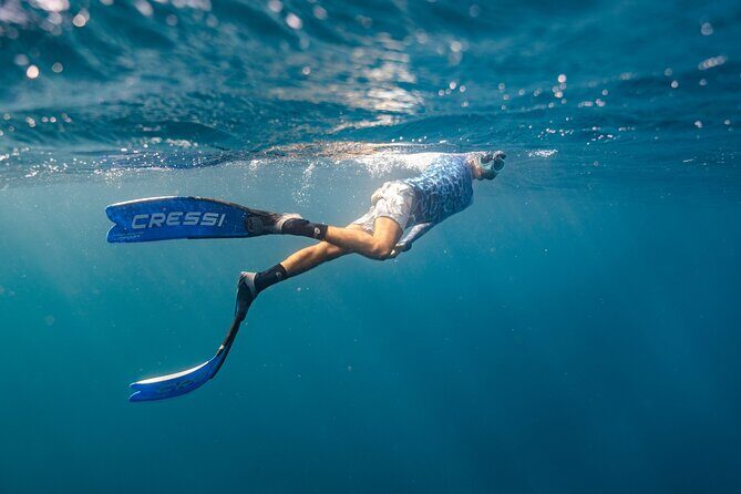 Perth to Exmouth & Ningaloo Reef 8 Day Small-Group Boutique Tour - Reef and Coastal Wonders