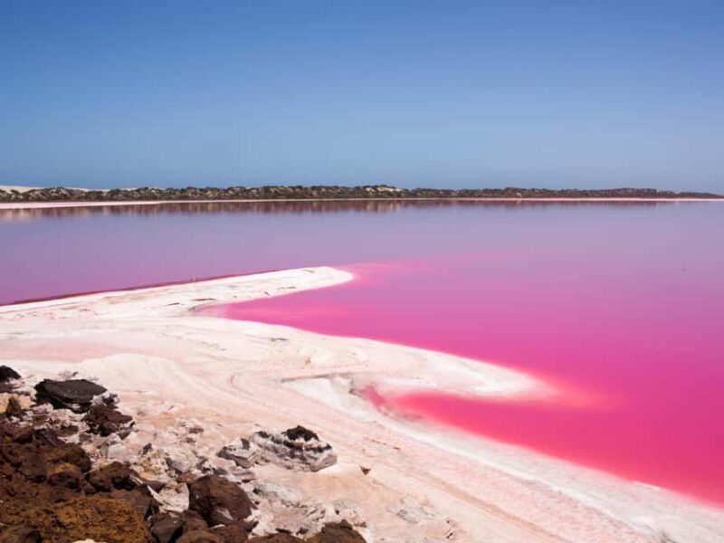 Perth to Exmouth & Return with Monkey Mia & Ningaloo Reef - What’s Included and What to Expect