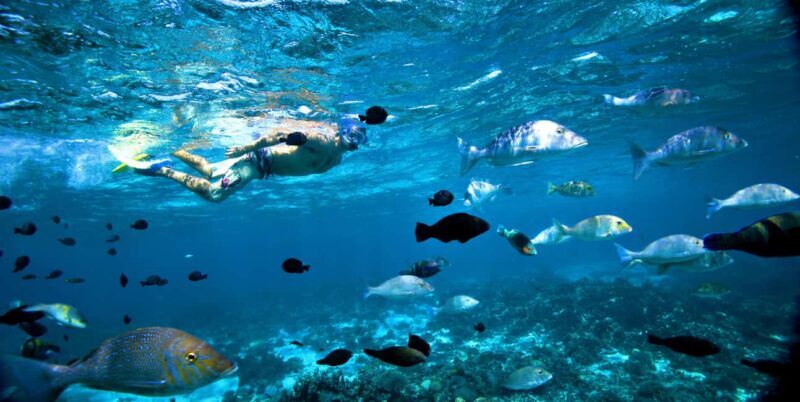 Perth to Exmouth & Return with Monkey Mia & Ningaloo Reef - Who Will Love This Tour?
