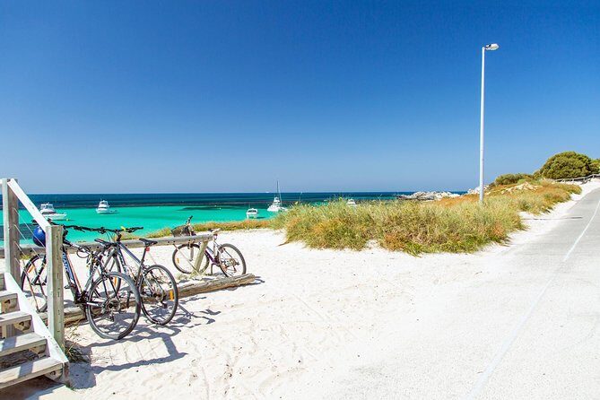 Perth to Rottnest Island Roundtrip Ferry Ticket - Final Thoughts: Who Is It Best For?