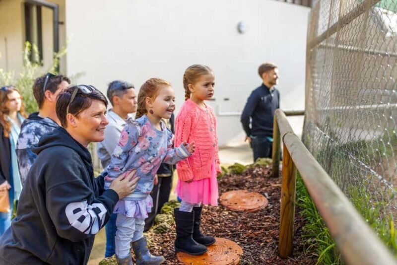 Perth: WA Wildlife Hospital and Native Fauna Encounter Tour - Understanding the Reviews