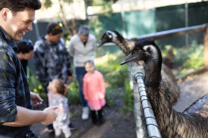 Perth: WA Wildlife Hospital and Native Fauna Encounter Tour - Why This Tour Is Worth Considering