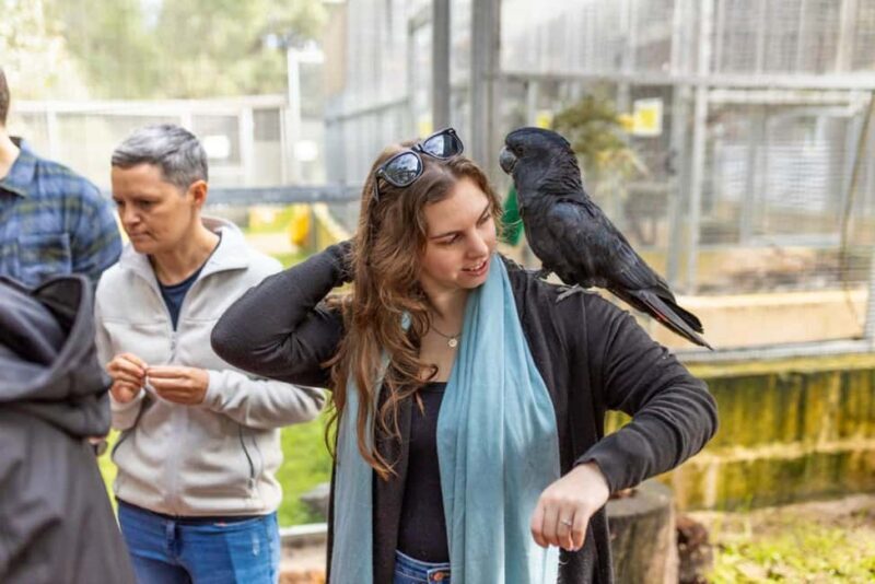 Perth: WA Wildlife Hospital and Native Fauna Encounter Tour - Who Is This Tour Best For?