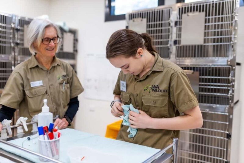 Perth: WA Wildlife Hospital and Native Fauna Encounter Tour - Final Thoughts