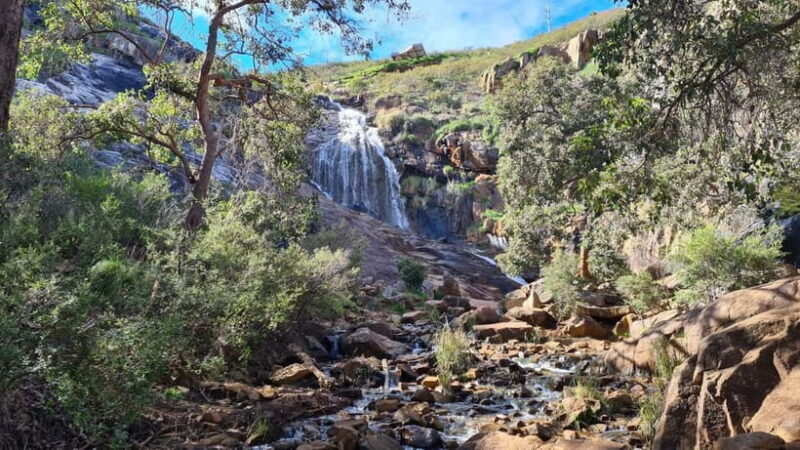 Perth: Waterfalls, Wildflowers & Wandoo Hiking Experience - An Overview of the Perth Waterfalls & Wildflowers Hiking Tour