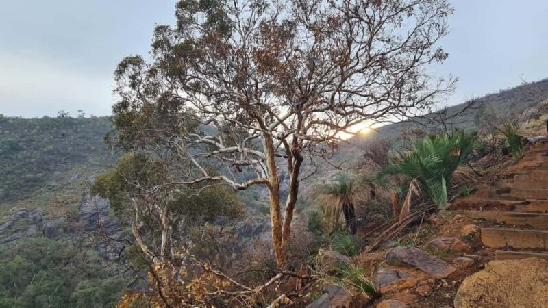 Perth: Waterfalls, Wildflowers & Wandoo Hiking Experience - What Past Participants Are Saying