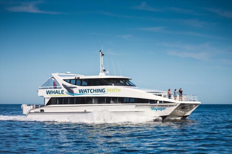Perth: Whale Watching Cruise from Hillarys Boat Harbour - FAQs