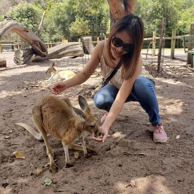 Perth Wildlife Park & City Highlights - Small Group Tours - Key Points