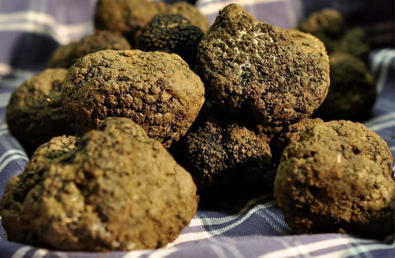 Perugia: Truffle Tasting & Museum Tour in Umbria - What’s Included and What’s Not