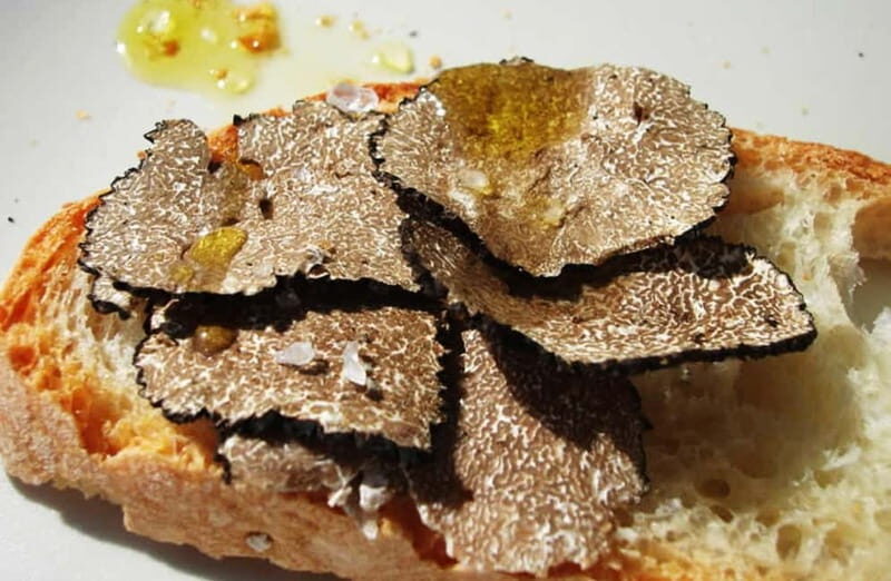 Perugia: Truffle Tasting & Museum Tour in Umbria - Who Will Enjoy This Tour?