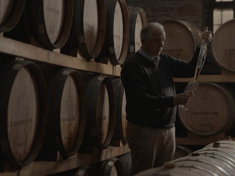 Perugia Winery Visit & Tasting near the Lake Trasimeno - What Travelers Say: Authentic Feedback