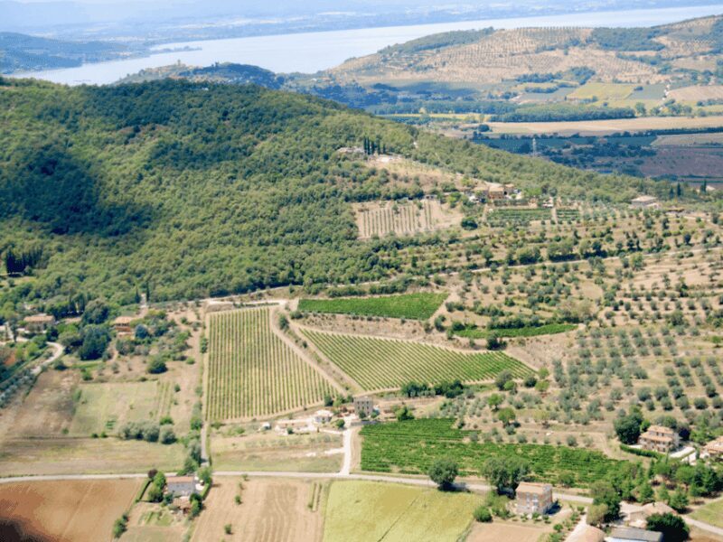 Perugia Winery Visit & Tasting near the Lake Trasimeno - Final Thoughts