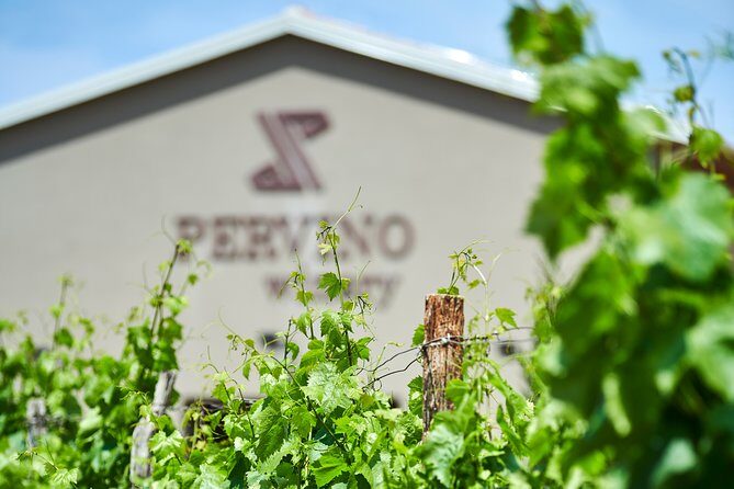 PERVINO - Wine tasting - What Makes the Pervino Wine Tasting Special?