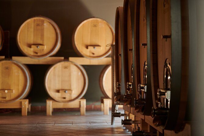 PERVINO - Wine tasting - Authentic Experiences and Well-Reviewed Hospitality