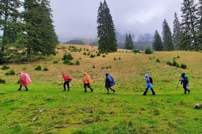 Pestera and Magura Full-Day Private Walking Tour from Brasov - Introduction