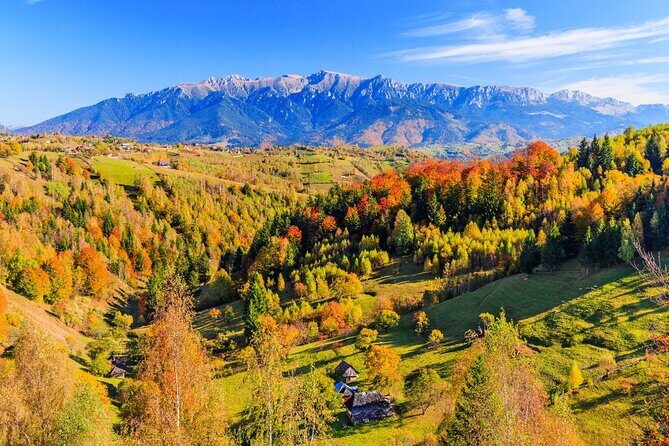 Pestera and Magura Full-Day Private Walking Tour from Brasov - Key Points