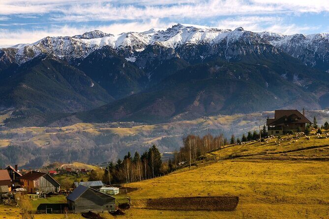 Pestera and Magura Full-Day Private Walking Tour from Brasov - Practical Considerations