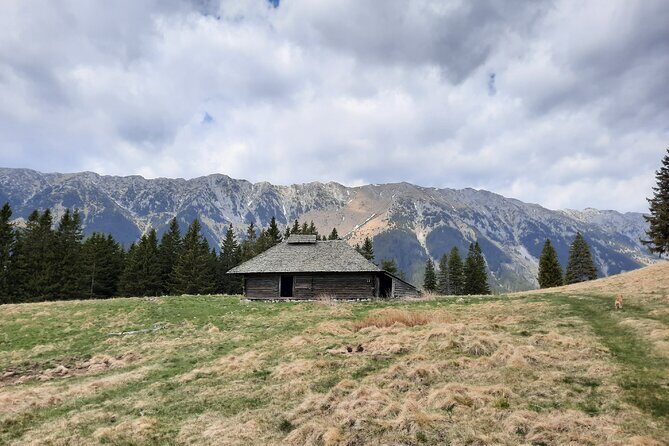 Pestera and Magura Full-Day Private Walking Tour from Brasov - The Sum Up