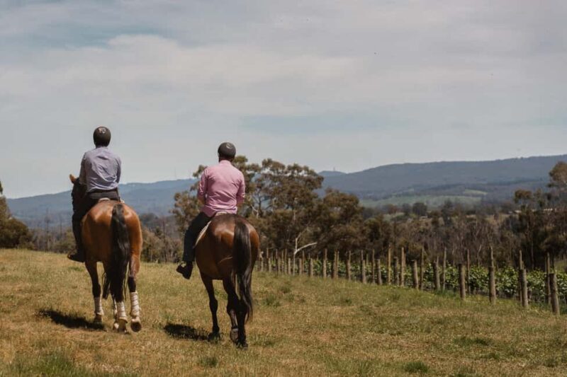 Petaluma: Horseback Riding and Wine Tasting Tour - A Closer Look at the Experience