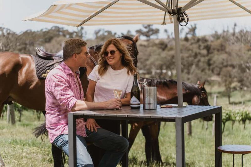 Petaluma: Horseback Riding and Wine Tasting Tour - Authentic Insights from Reviewers