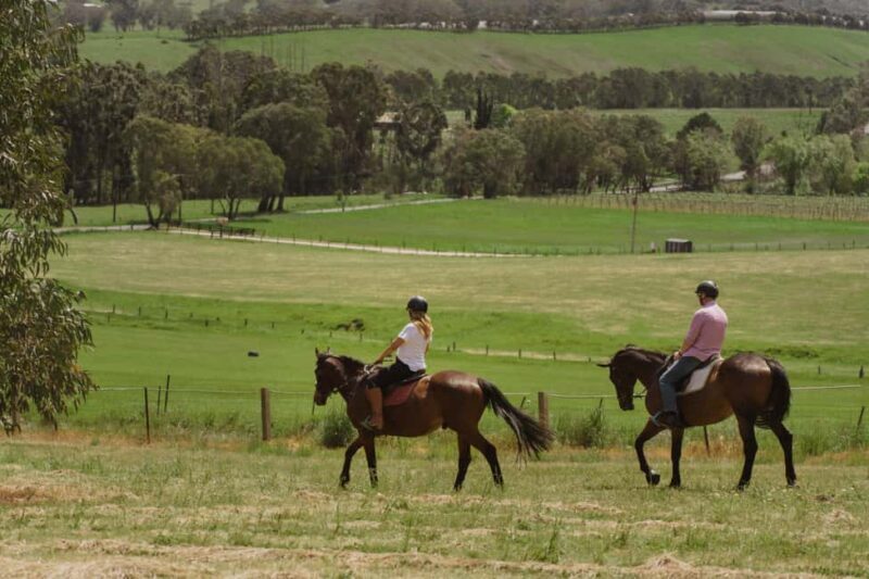 Petaluma: Romantic Private Horse Ride & Wine Tasting Package - Starting Your Journey at the Vineyard