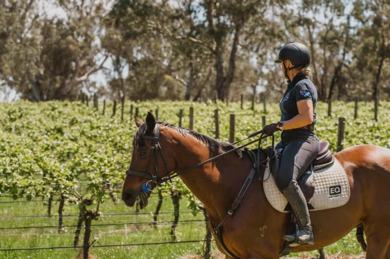 PETALUMA: VIP Equestrian & Private Wine Lunch with Olympian - Key Points