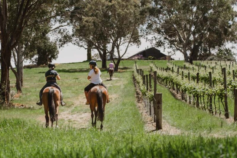 PETALUMA: VIP Equestrian & Private Wine Lunch with Olympian - A Thorough Look at the Experience