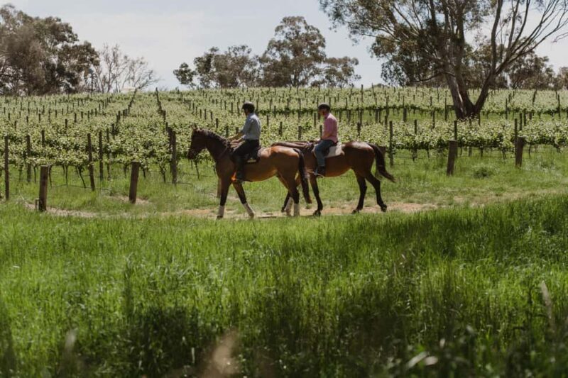 PETALUMA: VIP Equestrian & Private Wine Lunch with Olympian - Who Will Love This Tour?