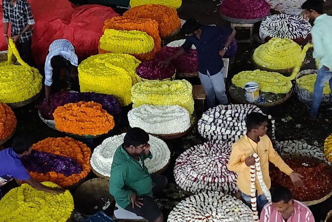 Pete walk, an immersive walking tour in Bangalore with a guide - Practical Information and Value