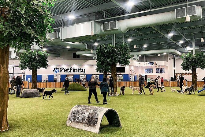 Petfinity Indoor Dog Park in Calgary - An In-Depth Look at Calgary’s Petfinity Indoor Dog Park