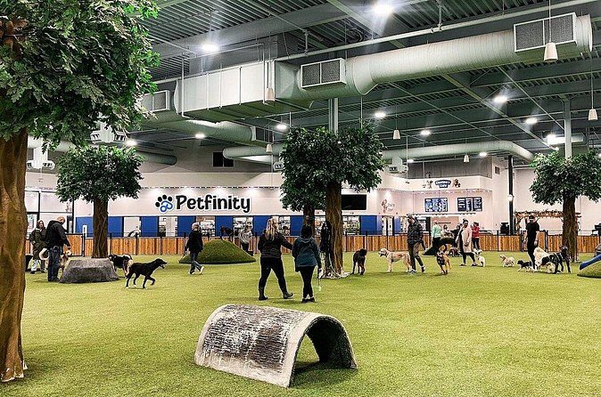Petfinity Indoor Dog Park in Calgary - FAQs