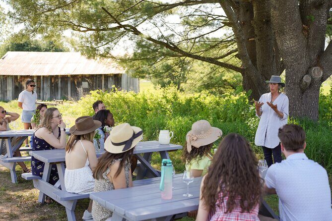 Petite Nation Wine & Cider Tour - Day Trip From Ottawa & Gatineau - Who Is This Tour Best Suited For?