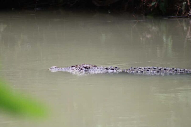 Peucang Island: 3-Day Ujung Kulon National Park EcoTour - Key Points